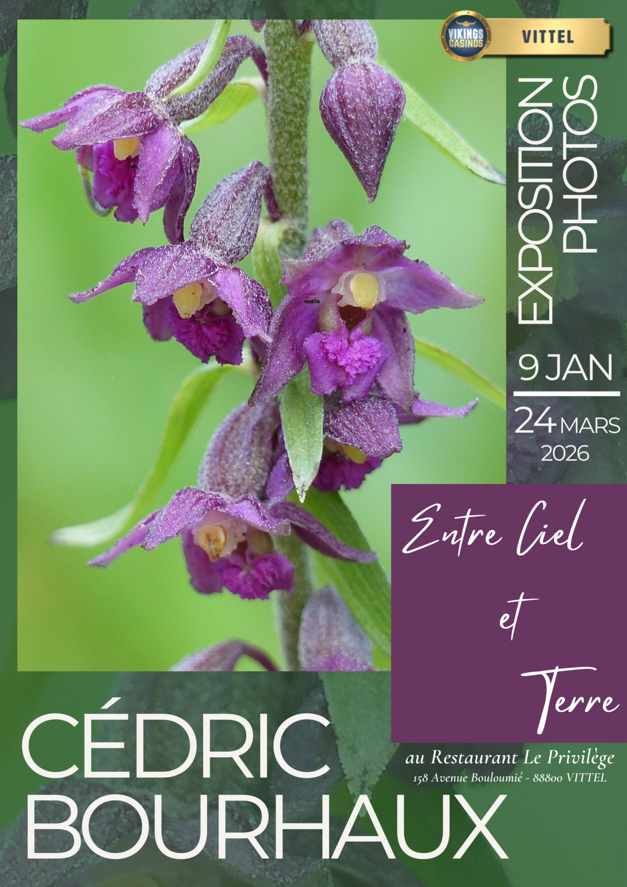 Exposition de Cédric BOURHAUX - 'Entre Ciel et Terre' | Casino de Vittel